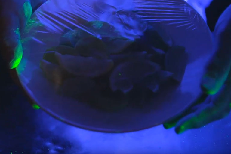 WRAPSAFE: Stopping Bacteria and Viruses from Spreading - Wrapmaster